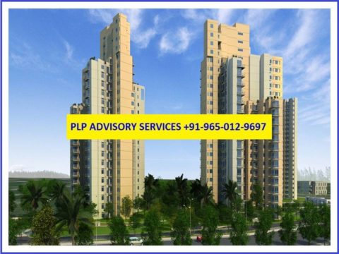 9650129697 IREO Uptown Ready to Move Residential Project Gurgaon