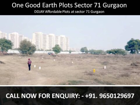 Raheja Riyasat Hills || 9650129697 || Farm House in Gurgaon